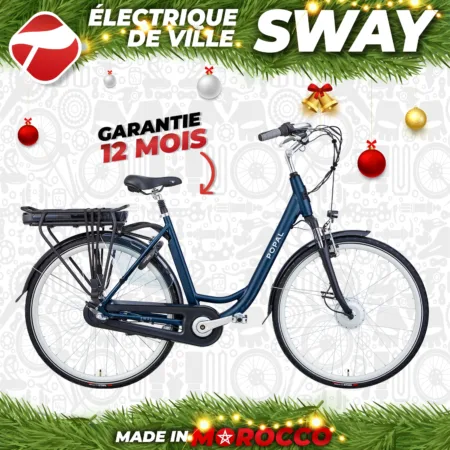 Vélo électrique - TelusBikes