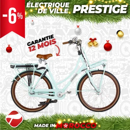 Vélo électrique - TelusBikes