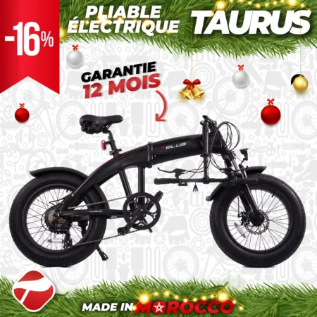 Vélo électrique pliable - TelusBikes