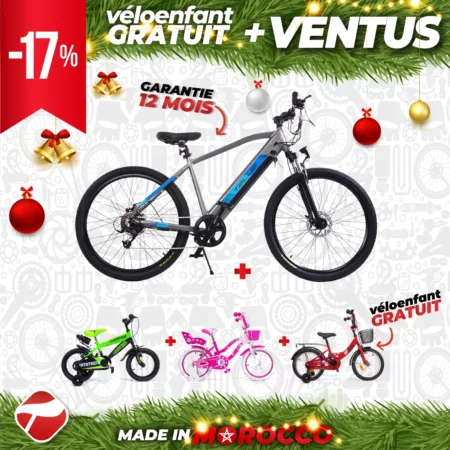 Vélo électrique - TelusBikes