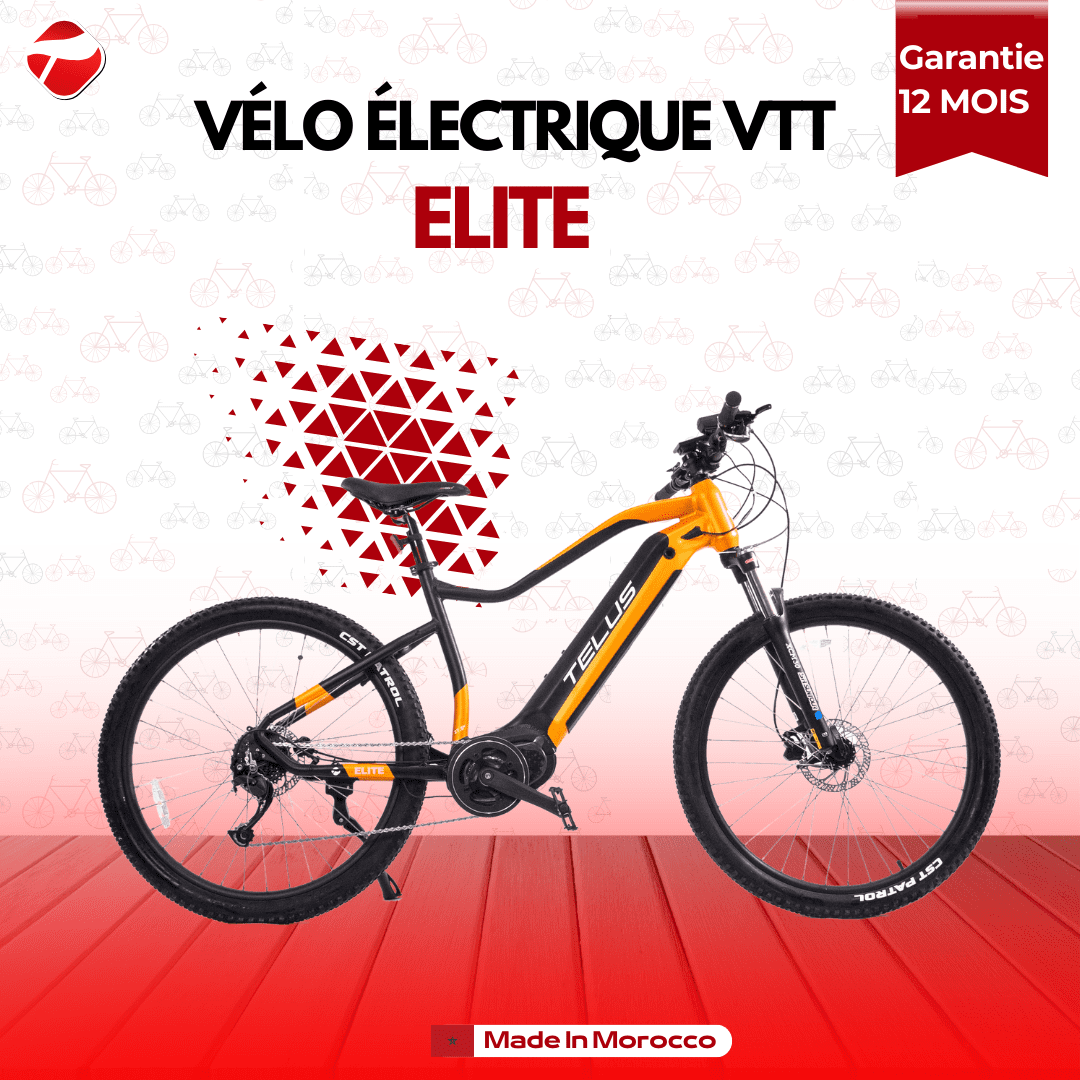 Vélo électrique - TelusBikes