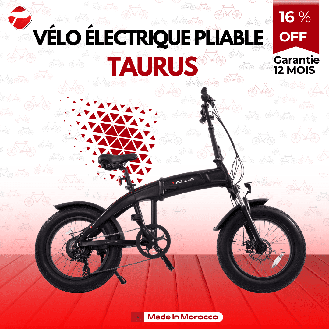 Vélo électrique pliable - TelusBikes