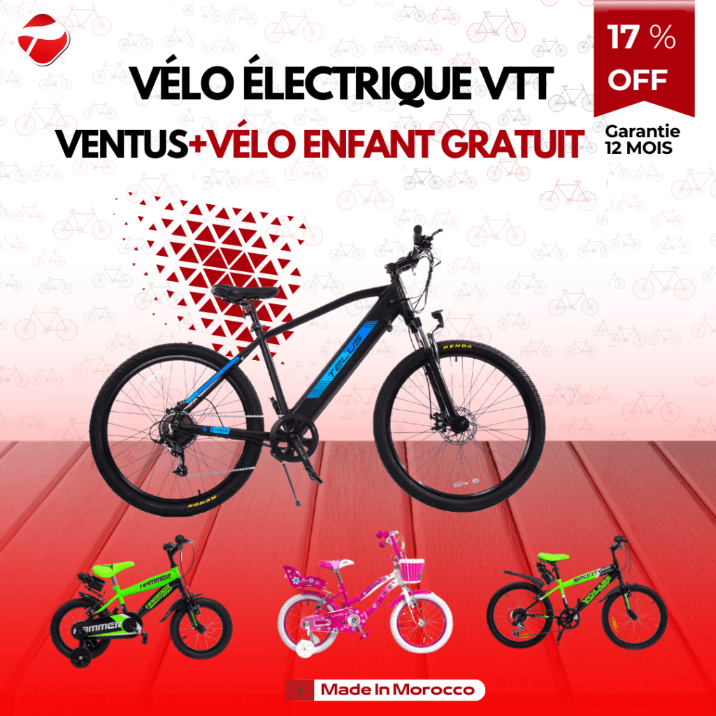 Vélo électrique VTT - TelusBikes